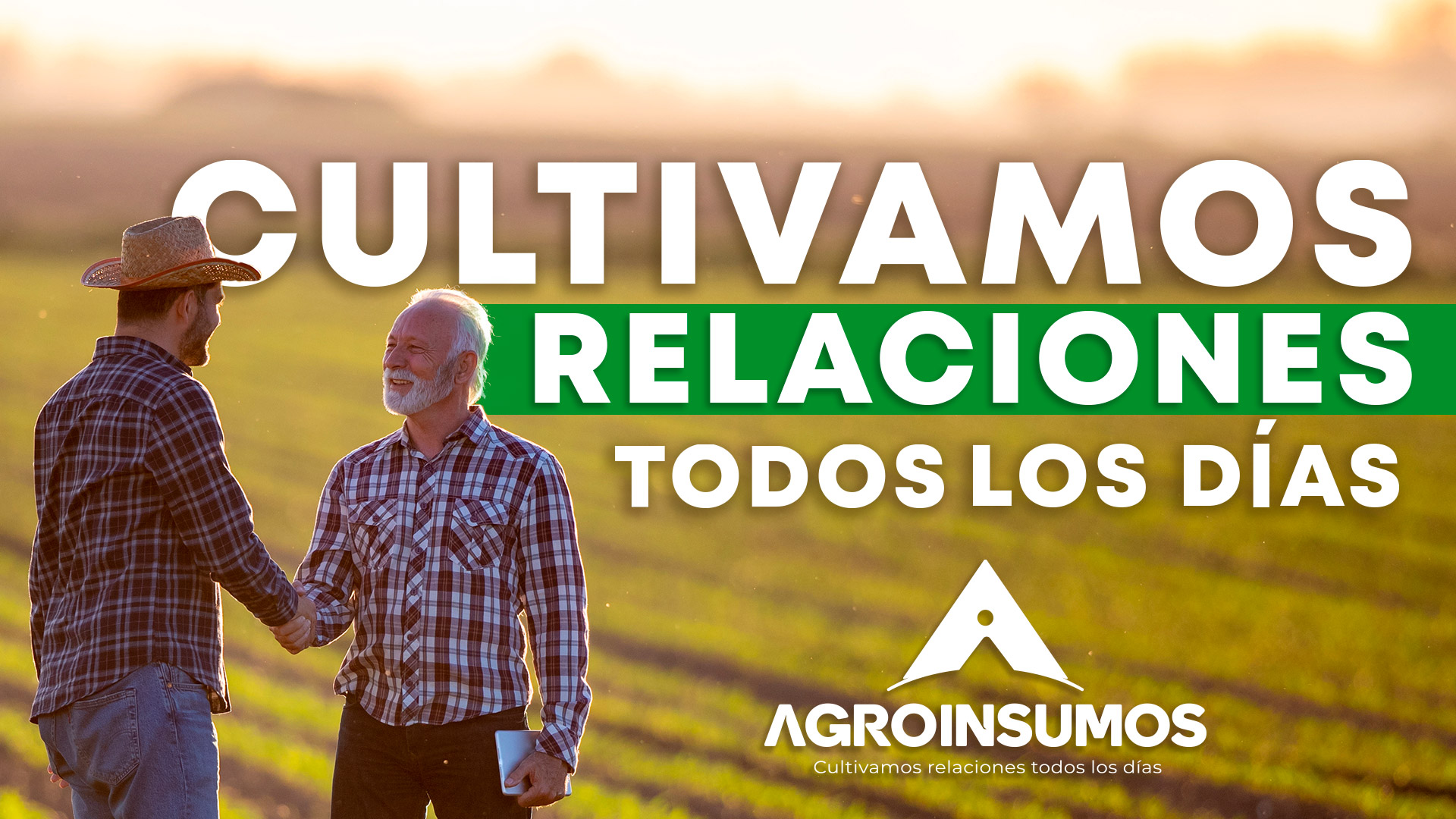 Agroinsumos S.A.S – Compramos tú cosecha, vendemos variedad de insumos ...
